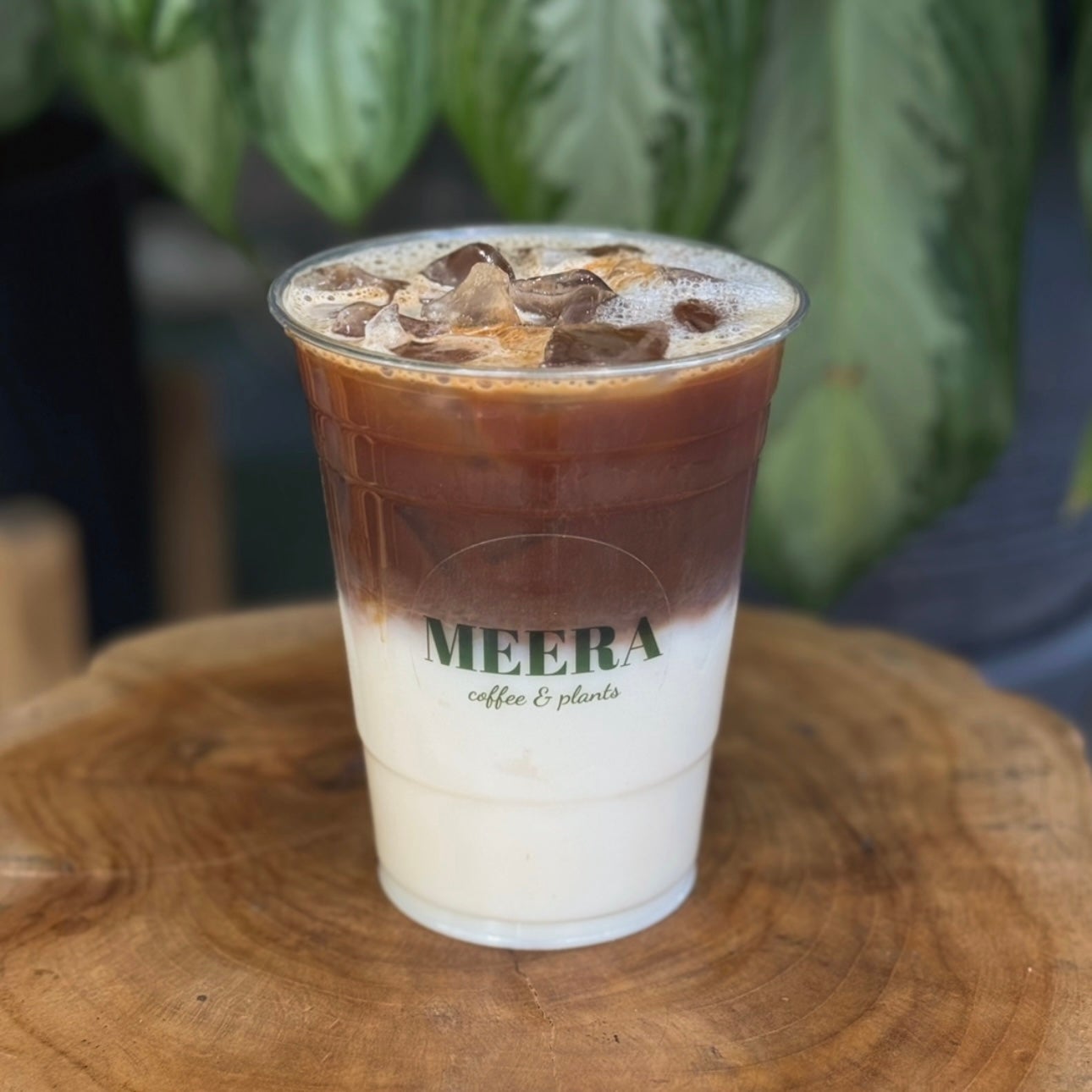 Pistachio Latte | Meera: Coffee & Plants