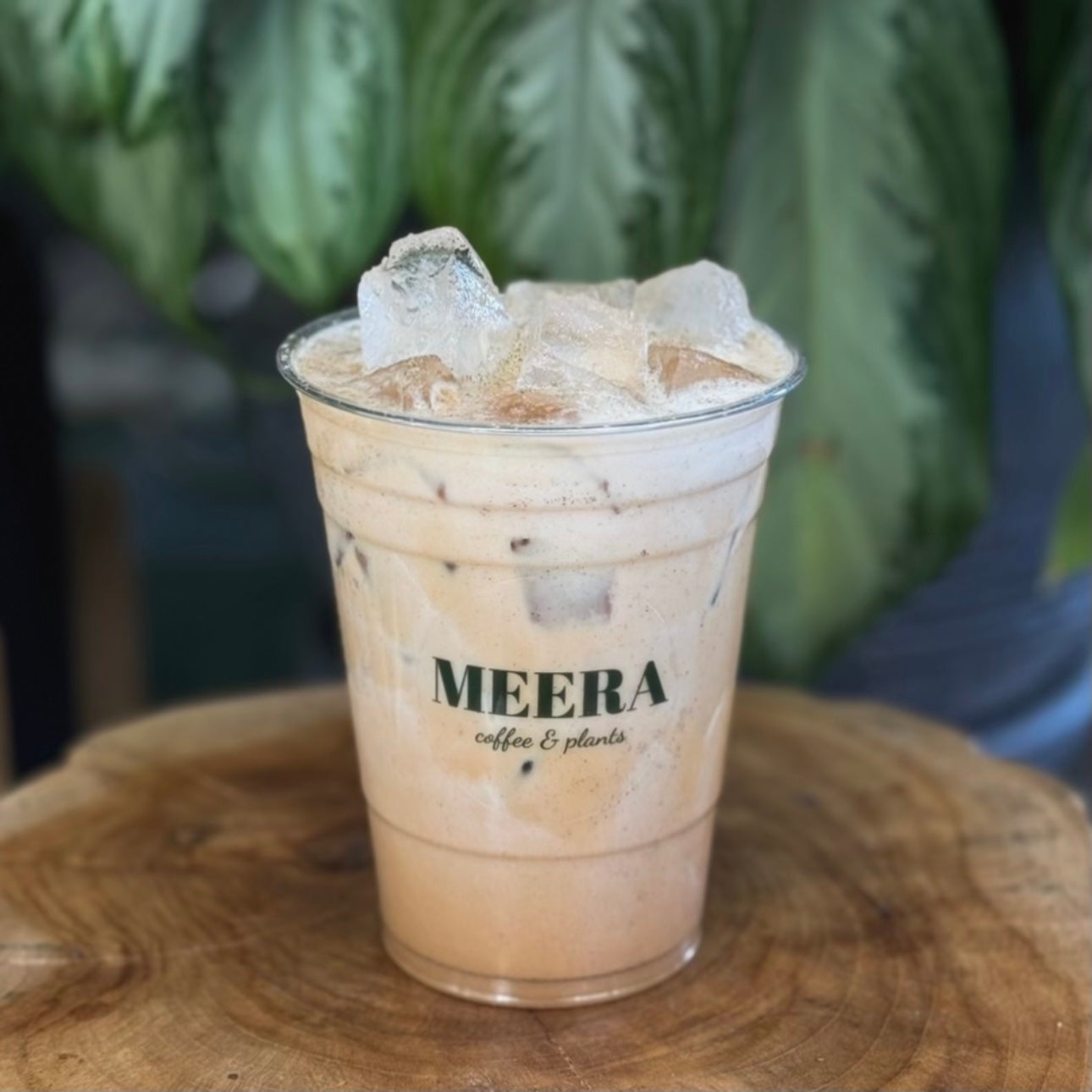 Cardamom Latte | Meera: Coffee & Plants
